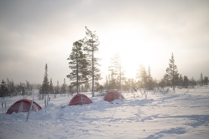 Ski Touring and Winter Fun in Fulufjallet Mountain Plateau - Authentic Experiences and Reviewer Insights