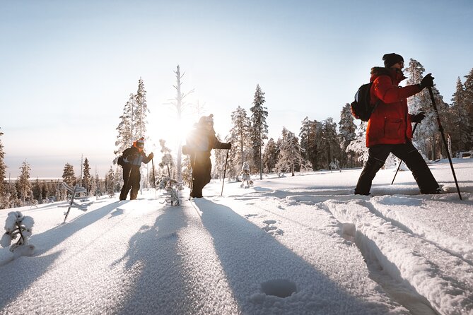 Ski Trekking Safari in Lapland - Preparing for Your Adventure: What to Bring and Wear