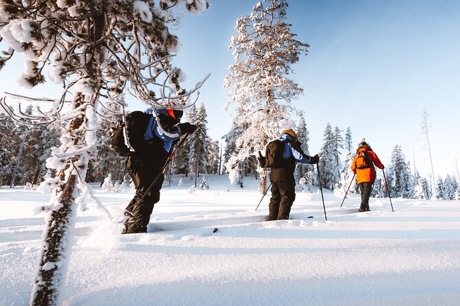 Ski Trekking Safari in Lapland - The Charm of Rovaniemi and Its Surroundings