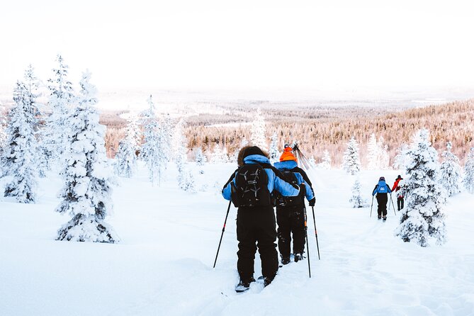Ski Trekking Safari in Lapland - Insights From Previous Travelers: Reviews and Ratings