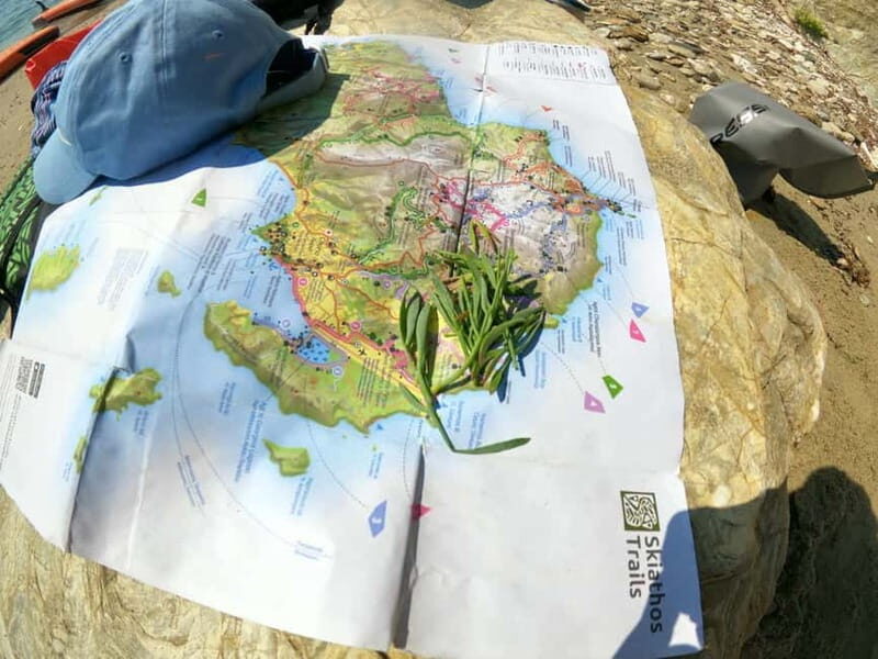 Skiathos: Guided Sea Kayaking Tour with Swim Stop - The Challenges and Considerations