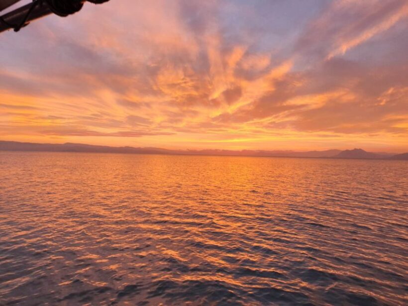 Skiathos: Sailing daytrip with Lunch - Key Points