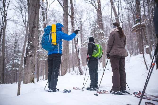 Skiing (Hok Ski) Excursion in Jacques-Cartier National Park - What Travelers Are Saying