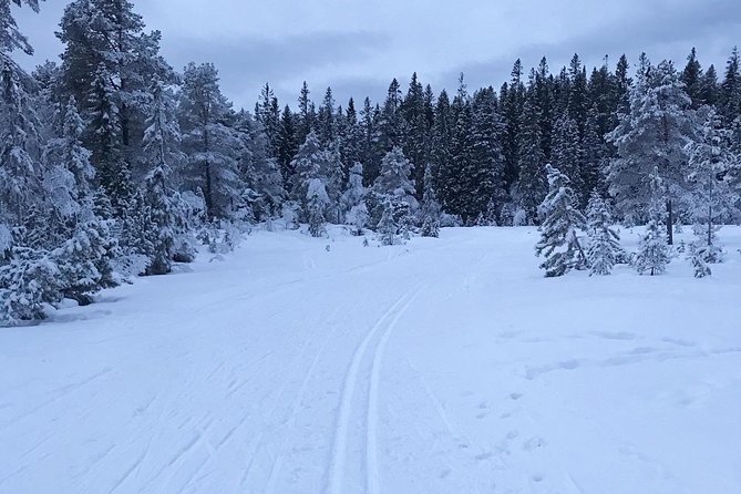 Skiing in winter wonderland - The Sum Up