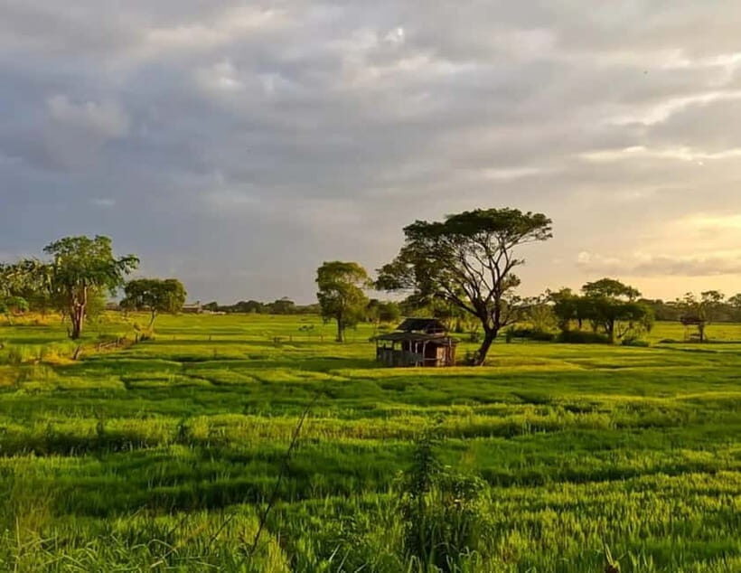 Skip Climbing Sigiriya Lions Rock  Relaxing Tuk Tuk Safari - Concluding Thoughts: Is It Worth It?