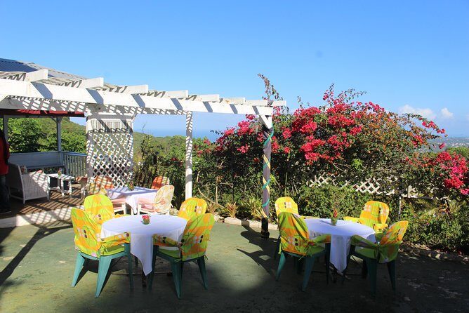 Skip the Line: Ahhh Ras Natango Gallery and Garden Admission Tickets - Exploring the Garden and Gallery Experience