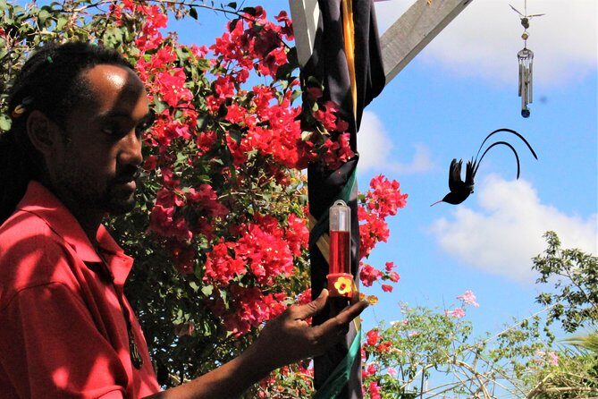 Skip the Line: Ahhh Ras Natango Gallery and Garden Admission Tickets - FAQs