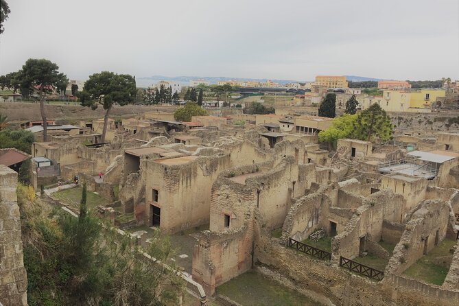 Skip the Line Ancient Herculaneum Walking Tour With Top Rated Guide - Expert Art Historian Guide