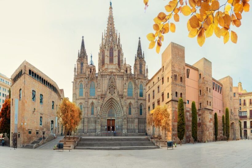 Skip-the-line Barcelona Cathedral with Private Guide - The Sum Up: Who Is This Tour Perfect For?