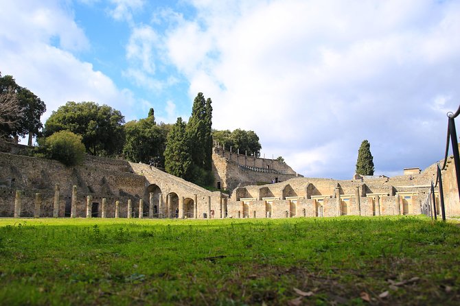 Skip-The-Line Best of Pompeii in One Day Tour W Local Guide & New Opened Houses - Inclusions and Accessibility