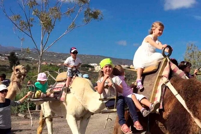Skip the Line: Camel Park Tenerife Ticket - The Sum Up: Is It Worth It?