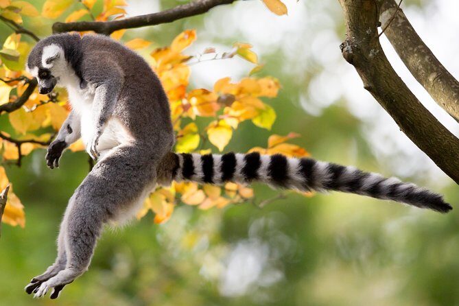 Skip the Line: Daily Admission at Woodland Park Zoo Ticket - Who Should Visit?