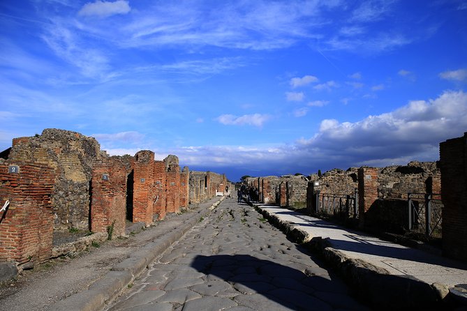 Skip-the-line Exclusive Private Full-Day Complete Ancient Pompeii Guided Tour - Frequently Asked Questions