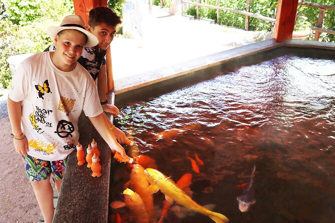 Skip the Line: Falconeria Locarno Ticket - Key Points