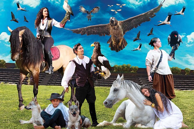 Skip the Line: Falconeria Locarno Ticket - Show Schedule and Ticket Information