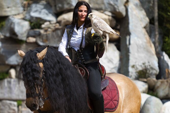 Skip the Line: Falconeria Locarno Ticket - Accessibility and Visitor Amenities