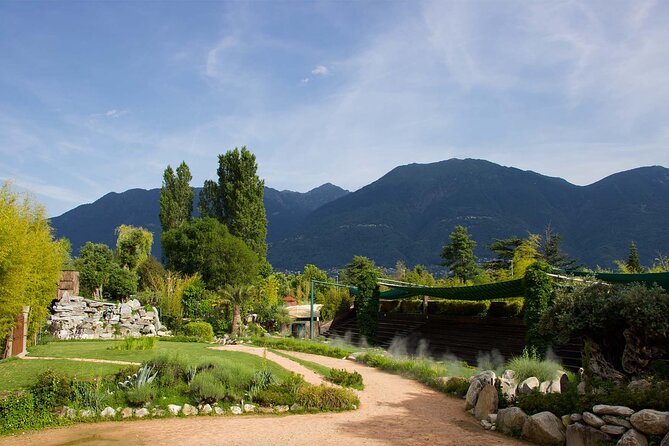 Skip the Line: Falconeria Locarno Ticket - Visitor Reviews and Feedback