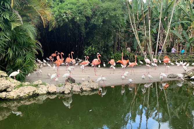 Skip the Line: Flamingo Gardens Admission Ticket in Fort Lauderdale - Wildlife Shows and Educational Presentations