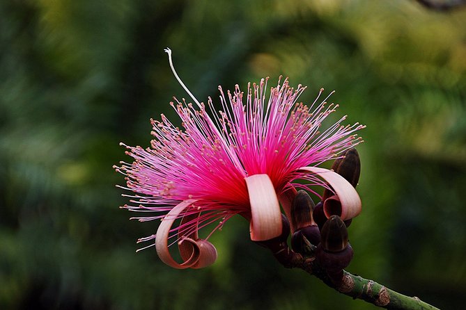 Skip the Line: Flamingo Gardens Admission Ticket in Fort Lauderdale - FAQ