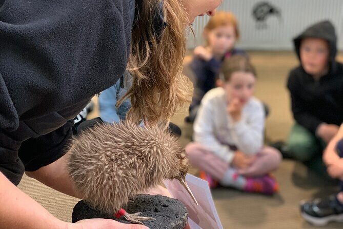 Skip the Line: Franz Josef Wildlife Center Ticket with Optional Backstage Pass - Introduction: An Up-Close Look at Franz Josef Wildlife Centre