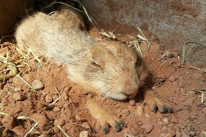 Skip the Line: General Admission to River Bend Nature Center Ticket - Key Points