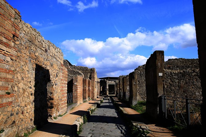 Skip the Line Guided Tour of Pompeii Led by an Archaeologist - Practical Details: What You Need to Know
