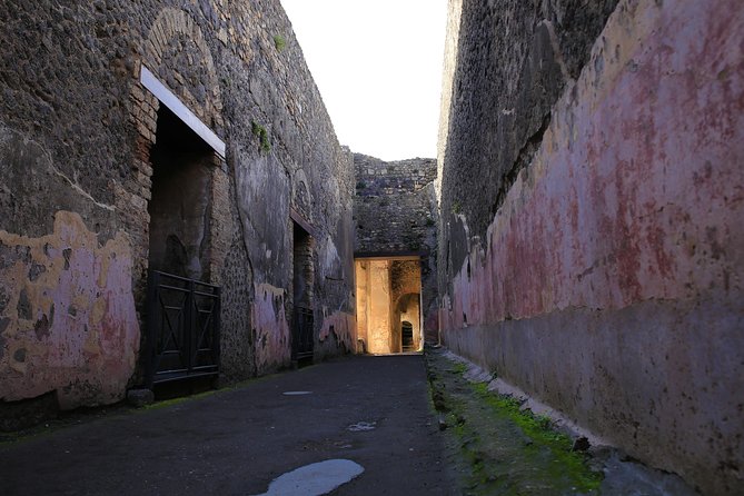 Skip the Line Guided Tour of Pompeii Led by an Archaeologist - The Value of This Experience