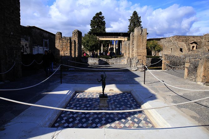 Skip the Line Guided Tour of Pompeii Led by an Archaeologist - Who Should Consider This Tour?