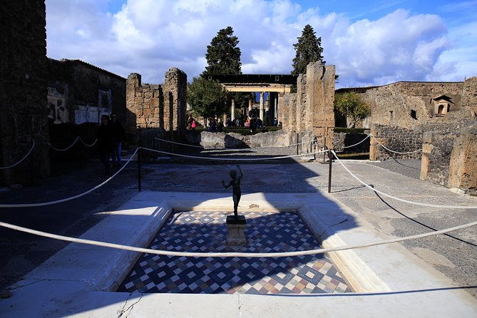 Skip-The-Line Half-Day Private Tour Ancient Pompeii Highlights With Native Guide - Traveler Reviews and Feedback