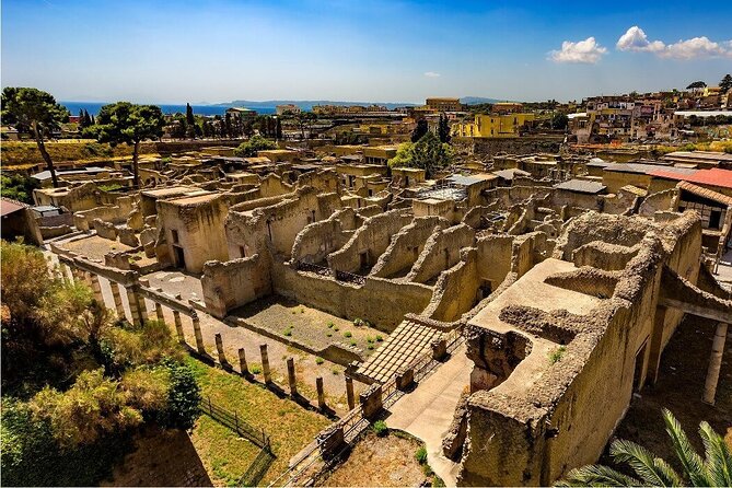 Skip the line Herculaneum Guided Tour from Sorrento - What Travelers Say