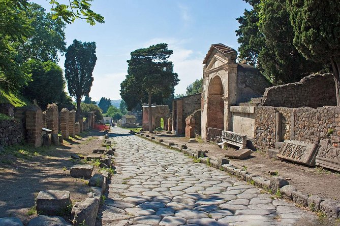Skip the Line Herculaneum Ruins Ticket - Meeting and Pickup Information