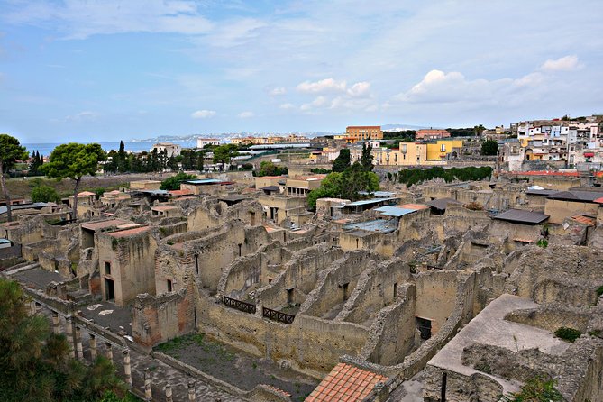 Skip the Line Herculaneum Ruins Ticket - Visitor Insights and Reviews