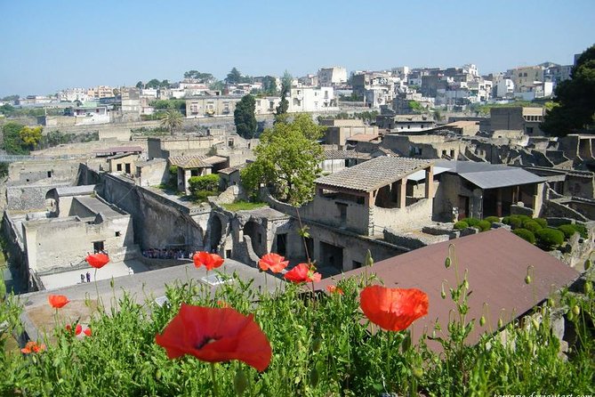 Skip the Line Herculaneum Ruins Ticket - Accessibility and Confirmation Details