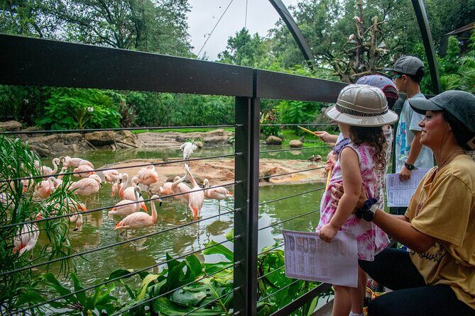 Skip The Line Houston Zoo Admission Ticket - What Makes Houston Zoo Special