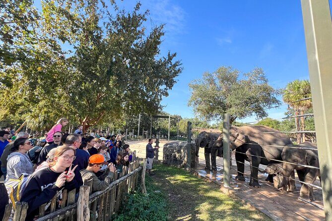 Skip The Line Houston Zoo Admission Ticket - The Itinerary Breakdown
