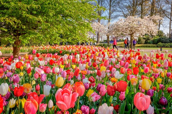Skip-the-Line Keukenhof Gardens and Tulip Fields Tour from Amsterdam - Analyzing the Cost and Value