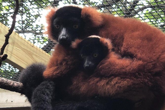 Skip the Line: Miller Park Zoo General Admission Ticket - Who Will Appreciate This Experience?