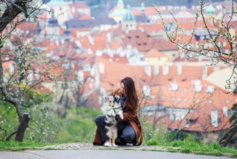 Skip-the-line Petrin Tower Prague Private Tour with Tickets - Authenticity, Comfort, and Value