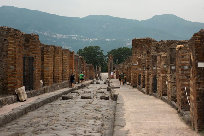 Skip the Line Pompeii Guided Tour Small Group or Private Option - Final Thoughts