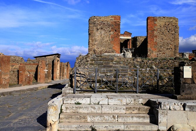 Skip the Line Pompeii Tour for Kids and Families W Special Guide - Comprehensive Tour Inclusions