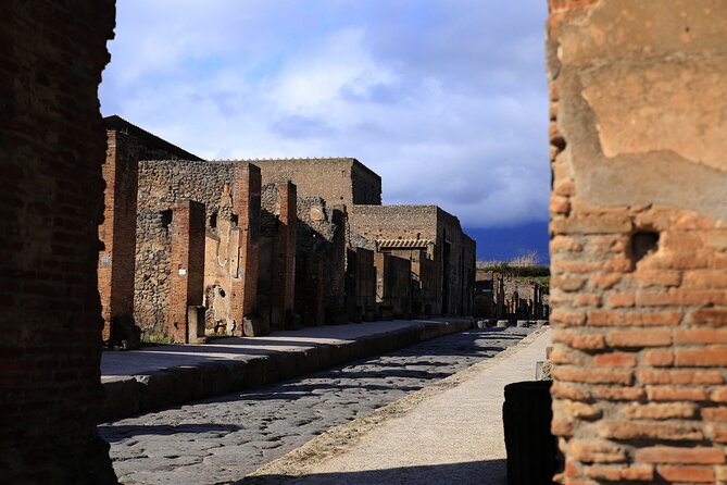 Skip the Line Pompeii Tour for Kids and Families W Special Guide - Positive Customer Feedback and Testimonials