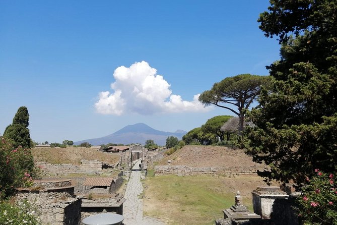 Skip-The-Line Pompeii & Volcano Vesuvius Day Tour W Hotel or Port Pickup - Vesuvius Visit
