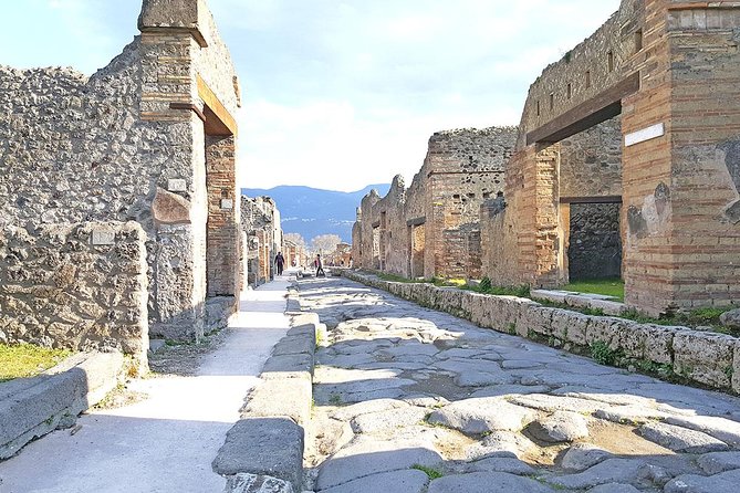 Skip-The-Line Pompeii & Volcano Vesuvius Day Tour W Hotel or Port Pickup - Inclusions