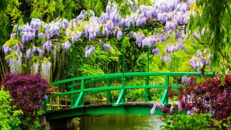 Skip the line - Private morning visit Claude Monets garden - An In-Depth Look at the Experience