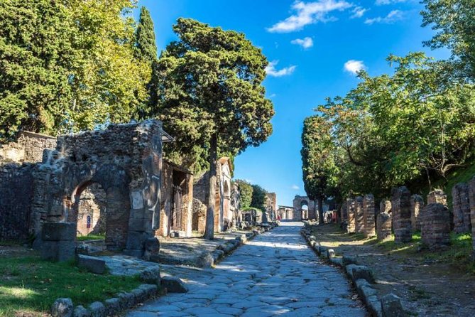 Skip the Line Private Pompeii Guided Tour - What Travelers Say