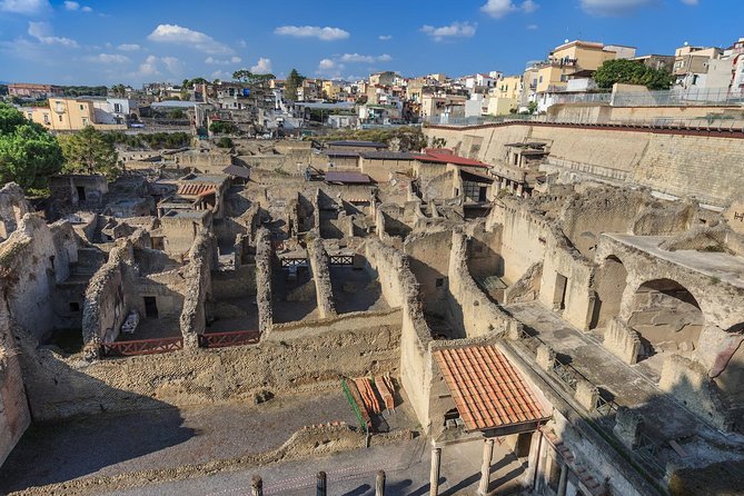Skip-the-Line Private Pompeii & Herculaneum Tour with Local Guide - Final Thoughts