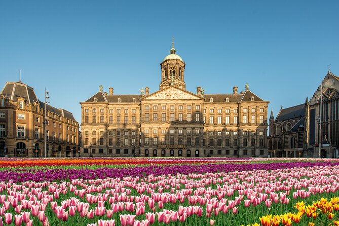 Skip-the-line Royal Palace of Amsterdam Private Guided Tour - The Sum Up