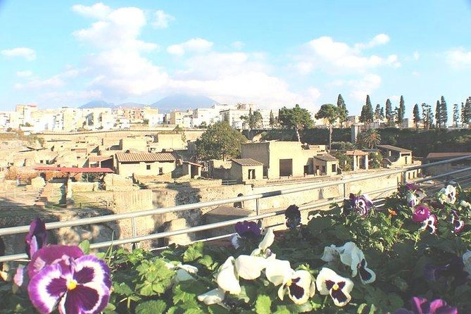 Skip-the-line Shore Excursion from Naples Cruise Port to Pompeii & Herculaneum - End of Tour