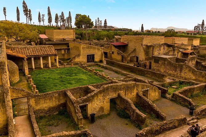 Skip-the-Line Ticket for Herculaneum Ruins - Key Points
