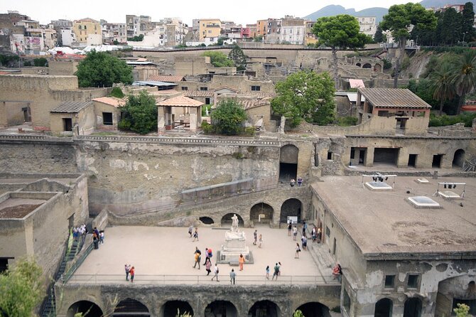 Skip-the-Line Ticket for Herculaneum Ruins - Who Should Consider This Tour?